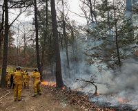 Middleton Mutual Aid Wildfire | Carver Fire Department